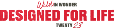 Designed for Life 2023 - Women's Conference - Wild in Wonder
