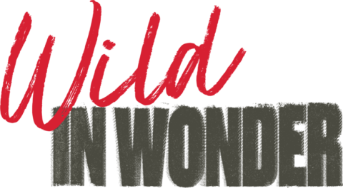 Designed for Life 2023 - Women's Conference - Wild in Wonder